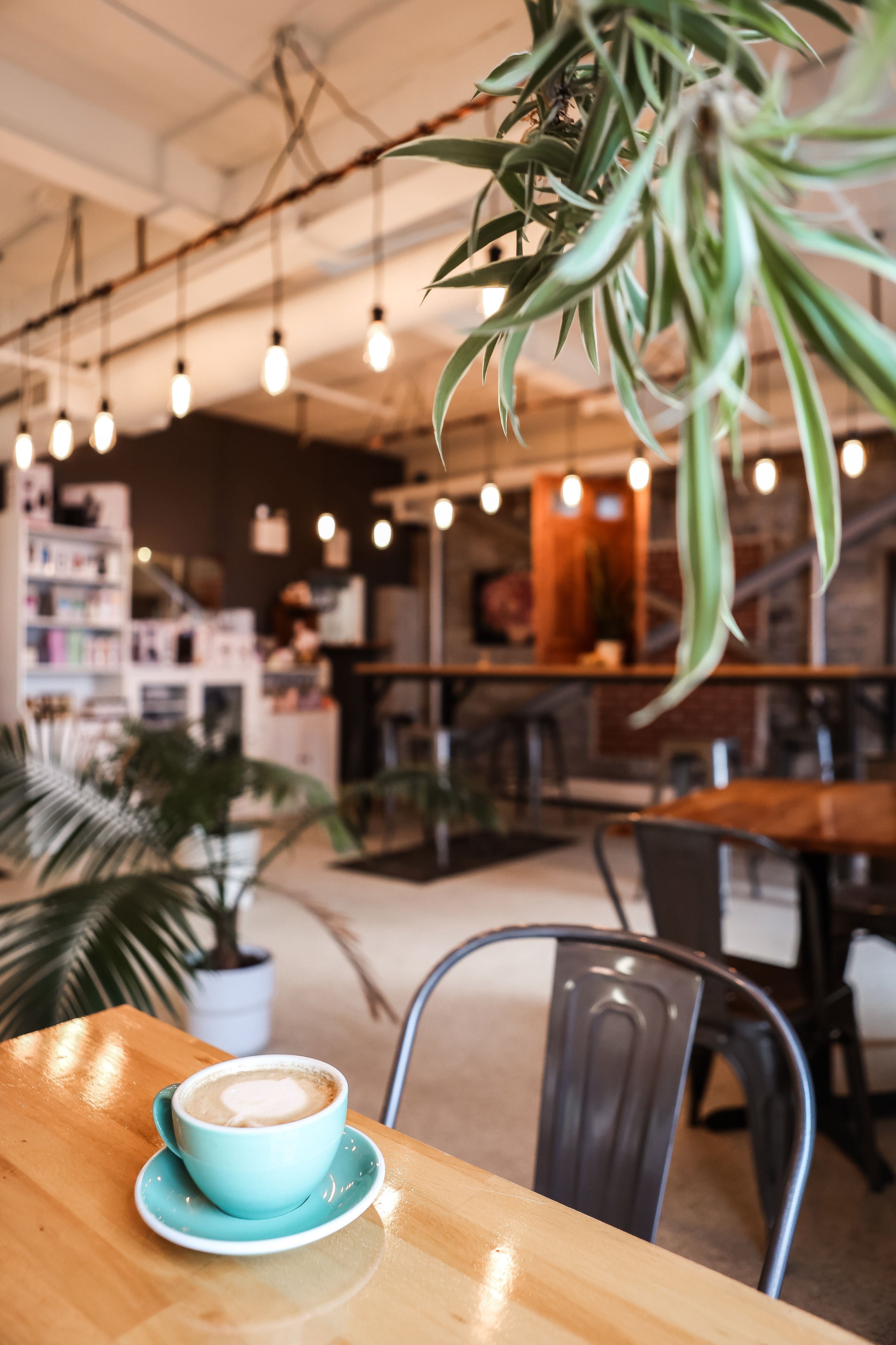 Events – The Juniper Cafe